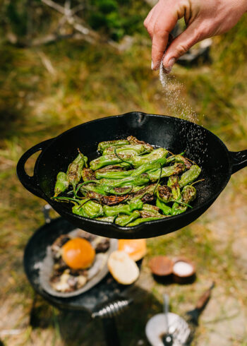 Field Notes - Union Wine Co.