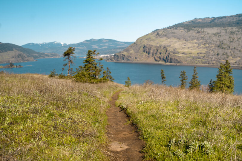 Field Notes - Union Wine Co.